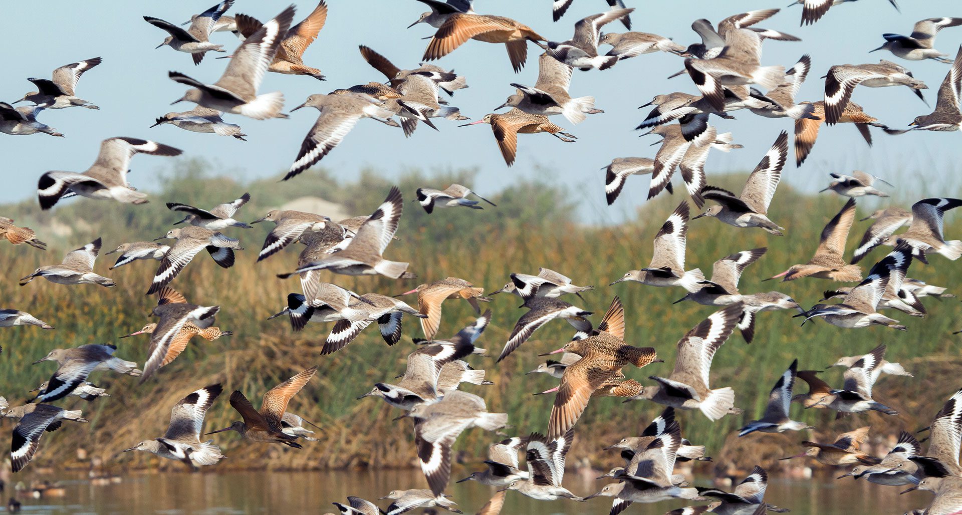 Habitats – State of North America's Birds 2016