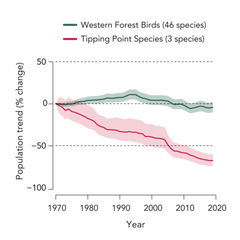 Western Forest Birds – State of the Birds 2022