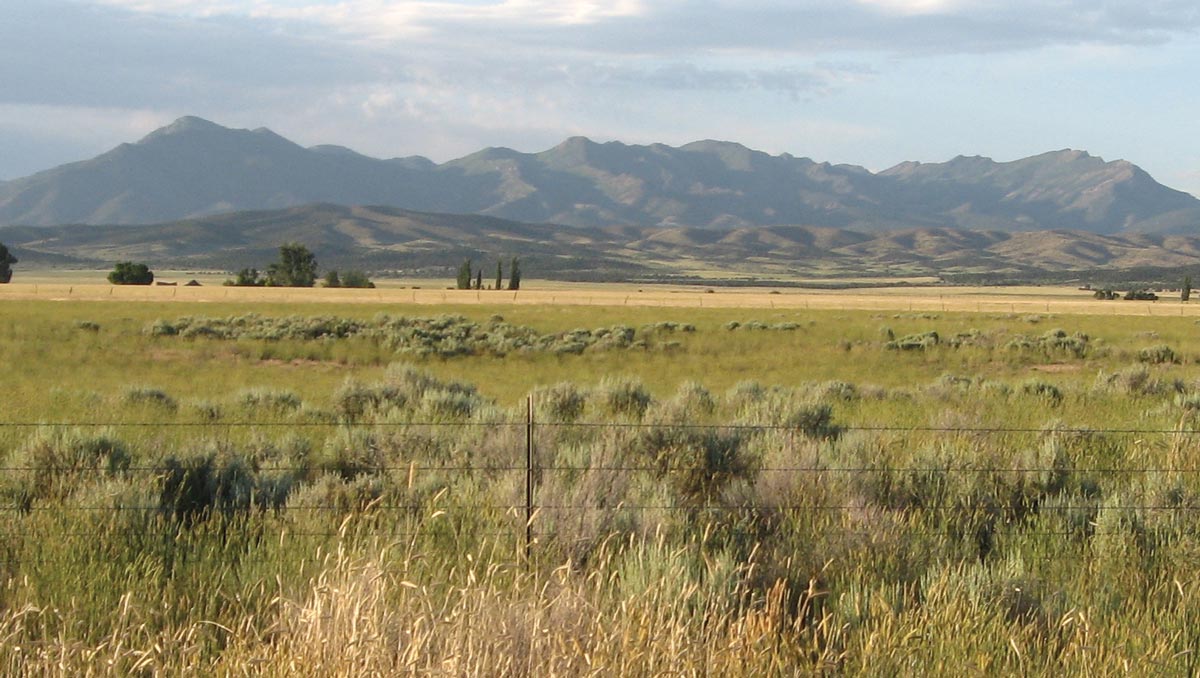 Birds Are a Key Investment for Protecting Biodiversity – State of the ...