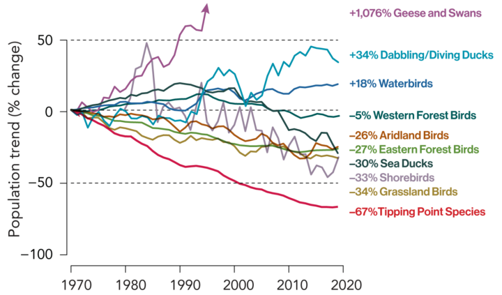 The State of the Birds – State of the Birds 2022