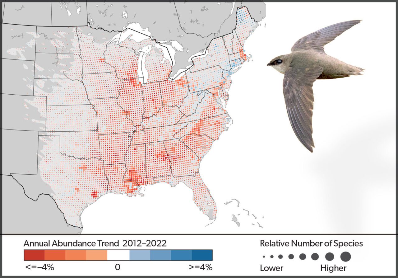 Tipping Point Species – State of the Birds 2025
