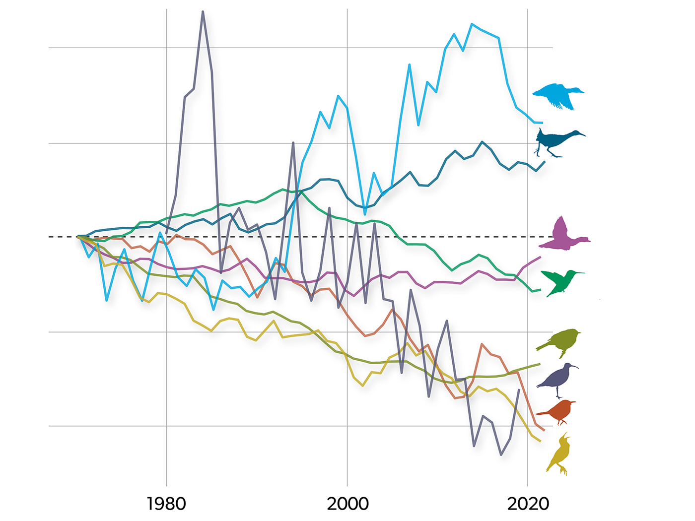 State of the Birds 2025