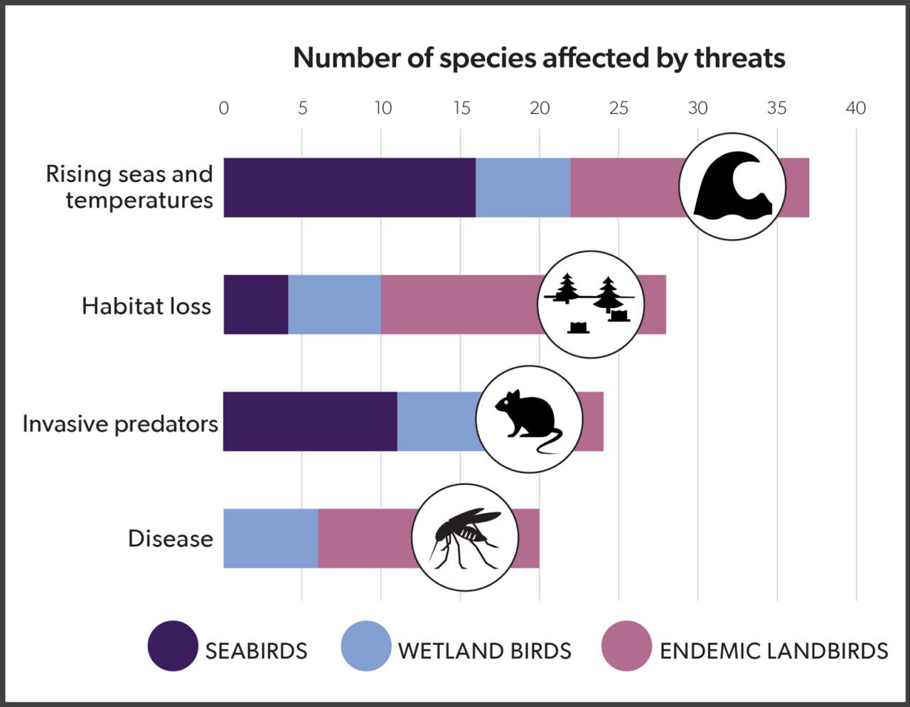 Hawaiian Birds – State of the Birds 2025